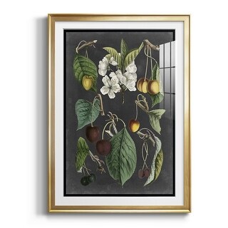 Orchard Varieties II Premium Framed Print - Ready to Hang - Bed Bath ...