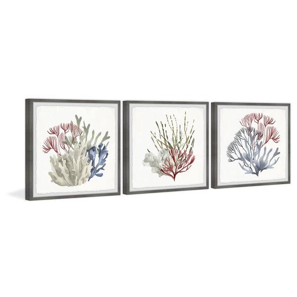 Marine Life Display Triptych - Bed Bath & Beyond - 36273104