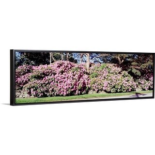 "Rhode Island, azaleas" Black Float Frame Canvas Art - Bed Bath ...