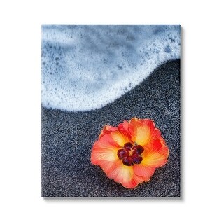 Stupell Red Poppy Soothing Beach Foam Black Sand Photography Canvas ...