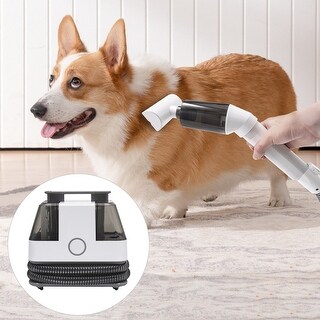 Portable Carpet Cleaner Handheld Rug Cleaner - Bed Bath & Beyond - 39689489