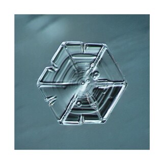 Print Collection 'Hexagonal Plate Snowflake 2' Canvas Art - Bed Bath ...