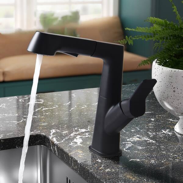 Single-handle Bathroom Sink Faucet with Pull Out Spray Liftable Dual ...