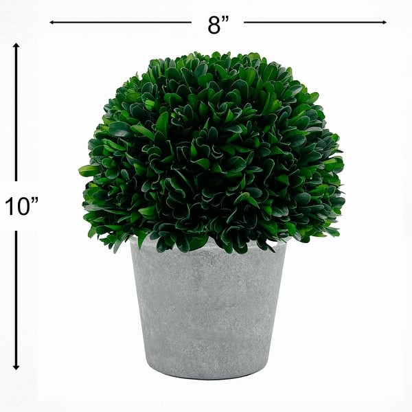 Preserved Decorative Boxwood 10 Inch Ball In Pot - Green - 10 x 8 - Bed ...