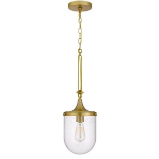 8 Inch Dia. Pendant Ceiling Light Fixture, Round Glass Shade ...