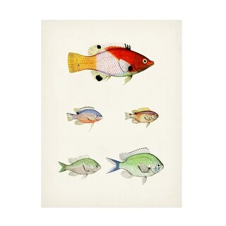 Unknown 'Colorful Tropical Fish I' Canvas Art - Bed Bath & Beyond ...