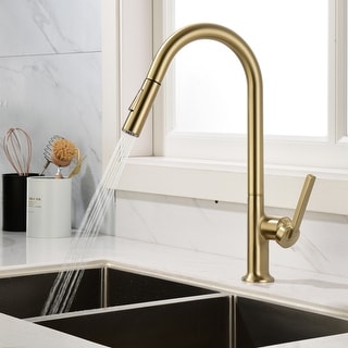 Single Handle Single Hole Pull-Out Kitchen Faucet with Gold Finish ...