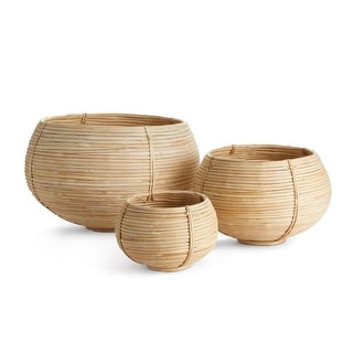 Cane Rattan Plant Baskets, Set Of 3 - Bed Bath & Beyond - 35580500