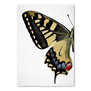 Americanflat - Swallowtail I by Chaos & Wonder Design - 16"x20" Poster ...