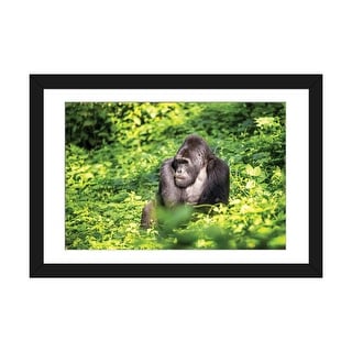 iCanvas "Silverback Mountain Gorilla" by Jane Rix PFA - Bed Bath ...