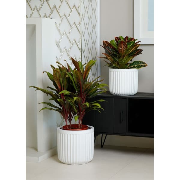 Indoor/Outdoor Large 1-Piece Minimalist Fiberstone Lightweight Short ...