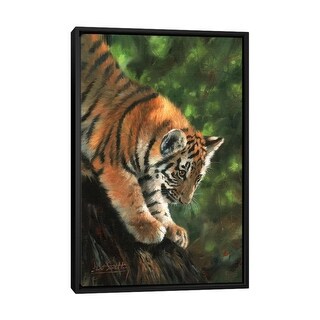 iCanvas "Tiger Cub Climbing Down Tree" by David Stribbling Framed ...