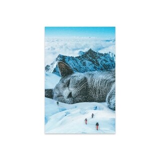 Winter Cat Nap Print On Acrylic Glass by Psguy2026 - Bed Bath & Beyond ...