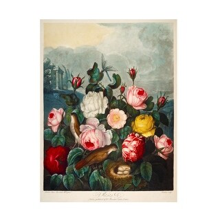 Print Collection 'Roses by Thornton' Canvas Art - Bed Bath & Beyond ...