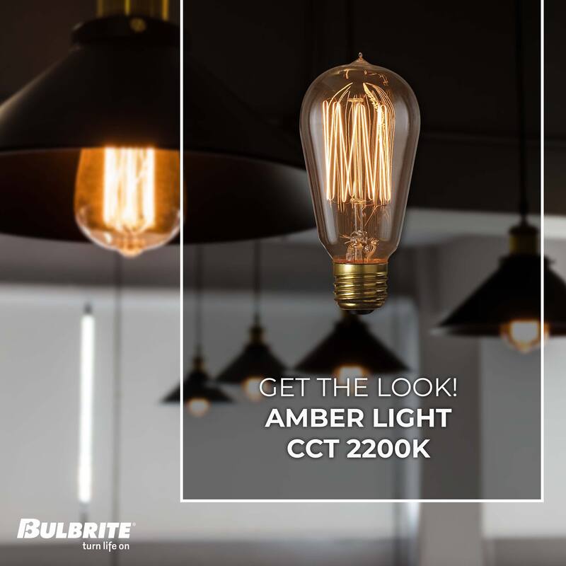 Bulbrite Pack of (4) Dimmable Antique Nostalgic Filament Incandescent Bulb - On Sale - Overstock ...