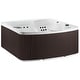 Lifesmart LS550 Plus 5-Person 65-Jet 230v Spa with Ozonator - Bed Bath ...