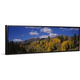 "Aspen trees in mountains, Sonora Pass, Sierra Mountain, California ...