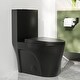 Ace 1.6 GPF Dual-Flush Toilet Modern Elongated One-Piece Toilet for ...