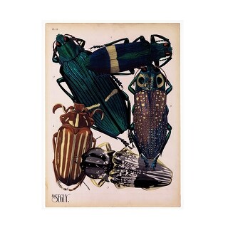Print Collection 'Insects Plate 4' Canvas Art - Bed Bath & Beyond ...