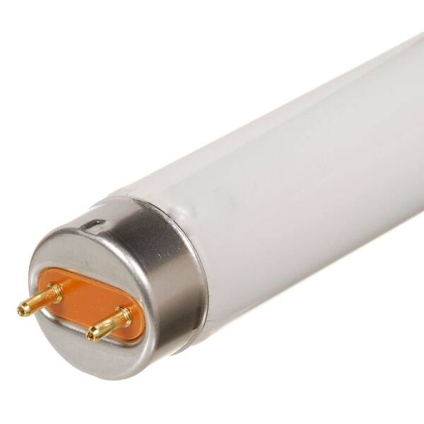 46 in. Cool White Cylindrical F28T5 Tube 28W American Imaginations ...