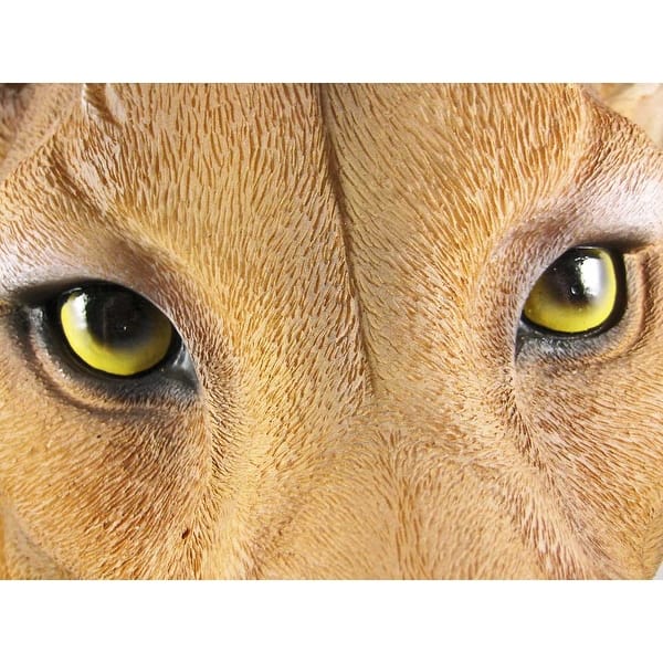 Mountain Lion Head Mount Wall Statue Bust - 16 X 11 X 8 inches - Bed ...