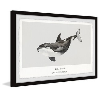 'Orcinus Orca' Framed Painting Print - Bed Bath & Beyond - 36273117