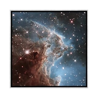 iCanvas "NGC 2174 (Monkey Head Nebula) (Hubble Space Telescope 24th ...