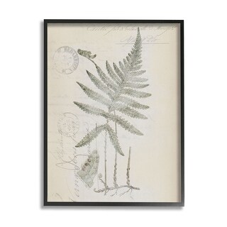 Stupell Vintage Post Card Fern Leaf Framed Giclee Art by Tina Higgins ...