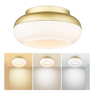 12 Inch LED Ceiling Light Fixture with 3 Color Modes (3000K/4000K/6000K ...