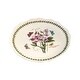 Portmeirion Botanic Garden Chip and Dip Set - 11 in Platter and 5.5 in ...