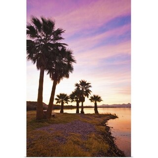 "Palm trees and beach, Lake Havasu, Arizona, USA" Poster Print - Multi ...