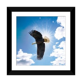 iCanvas "American Bald Eagle Inflight In The Sun Rays" by Sandra Rust ...