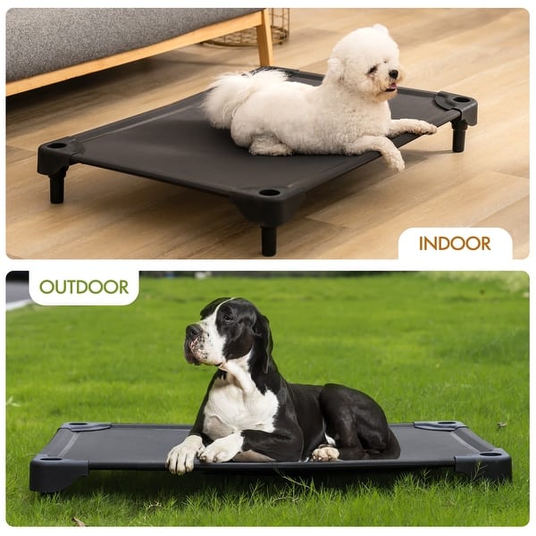 outdoor dog bed elevated