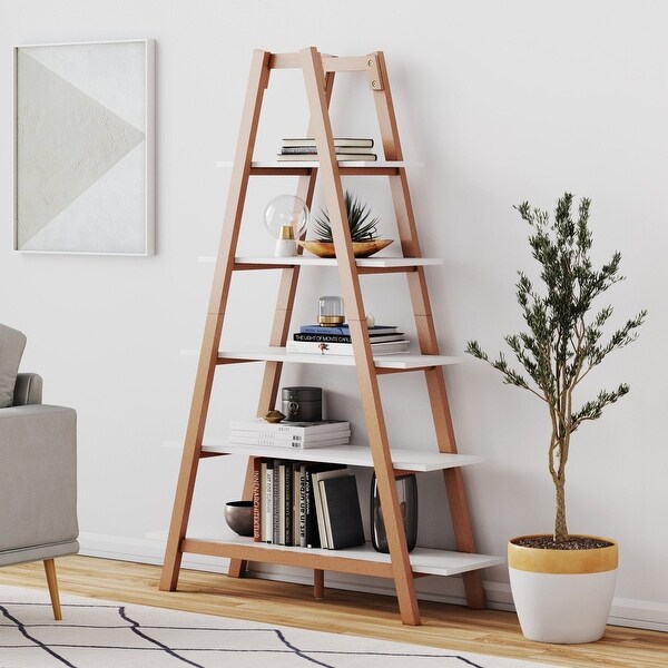 Display shelf ladder store