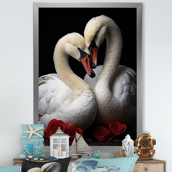 swans animals