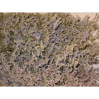 Dried natural Caspia Flower Bunch / Bulk Uses great filler with other ...