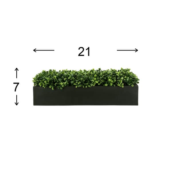 UV Rated Outdoor Boxwoods Arranged in a Rectangular Planter - Bed Bath ...