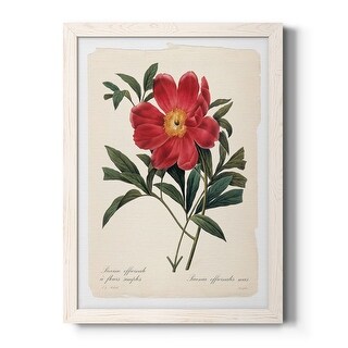 Red Botanical IV-Premium Framed Canvas - Ready to Hang - Bed Bath ...