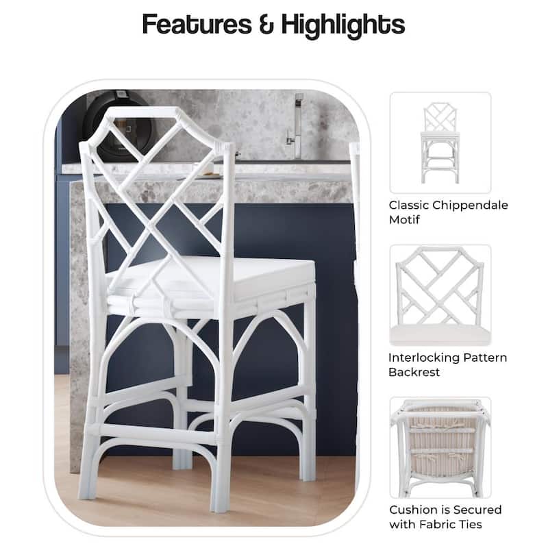 NPD Furniture Kara Rattan Counter Stool (Set of 2) - Overstock - 32171873