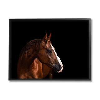 Stupell Modern Horse Portrait Solemn Farm Animal Photography Framed ...