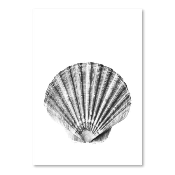 Americanflat - Sea Shell by Sisi And Seb - 16"x20" Poster Art Print ...