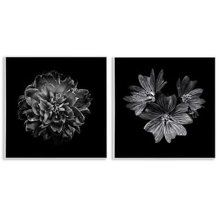 Stupell Blossoms with Water Droplets Wall Plaque Art Design By Brian ...