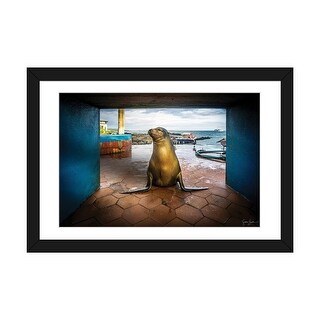 iCanvas "Missy Sea Lion" by Graham Earnshaw PFA - Bed Bath & Beyond ...