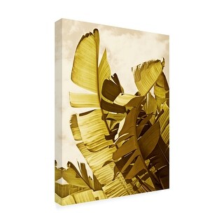 Rachel Perry 'Palm Fronds Ii' Outdoor Canvas - Bed Bath & Beyond - 38268408