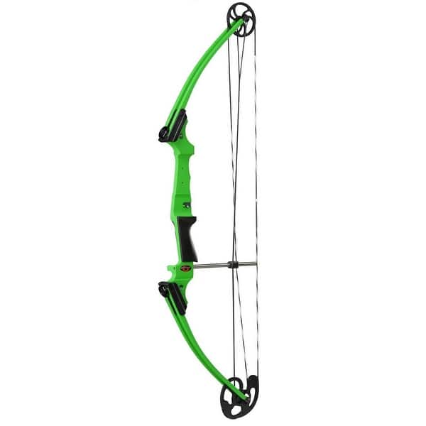 compound bow and arrows