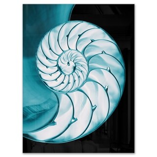 Chambered Nautilus Shell - Abstract Art Glossy Metal Wall Art - Bed ...