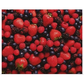 "Berries" Poster Print - Multi - Bed Bath & Beyond - 16283877