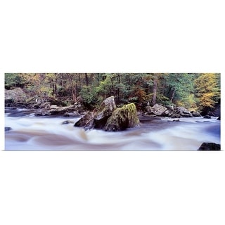 River flowing through a forest River Braan The Hermitage Dunkeld Perth ...