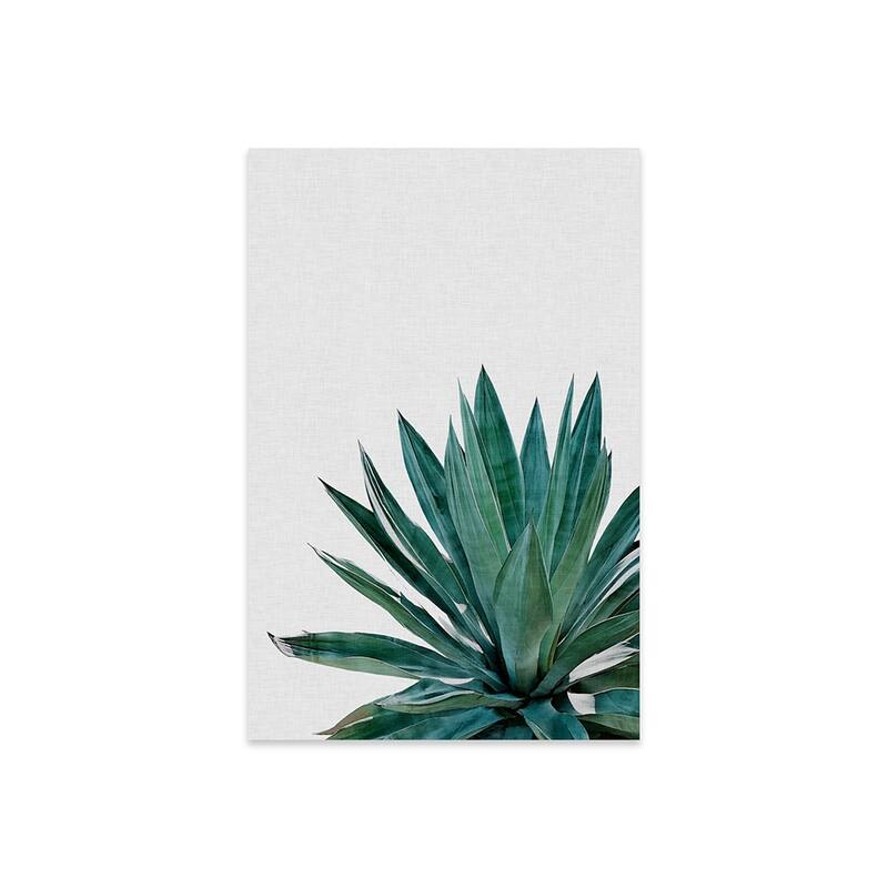 Agave Cactus Print On Acrylic Glass by Orara Studio - Overstock - 37516510