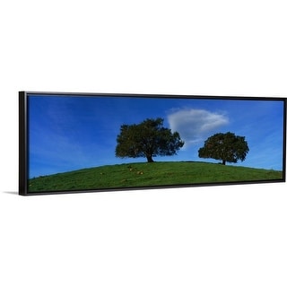 "Oak Trees CA" Black Float Frame Canvas Art - Bed Bath & Beyond - 25523181